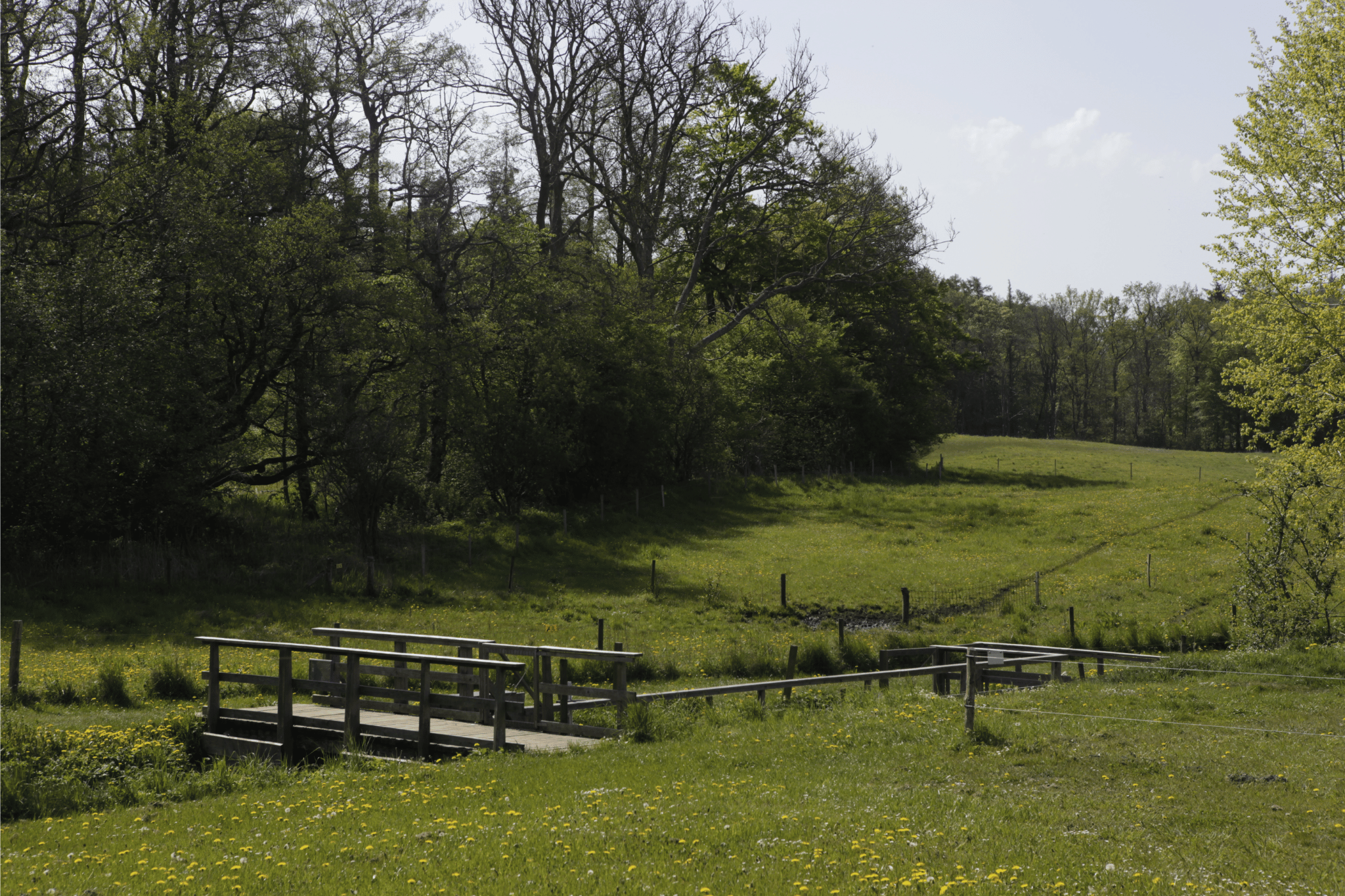 ABOUT ROMU - THE HISTORY IS YOURS - ROMU